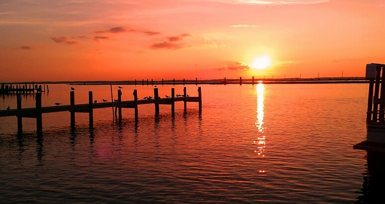 Your Florida Dock in the Winter - Gibson Marine Construction